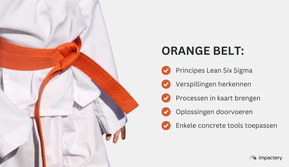 Orange Belt in Lean Six Sigma: Alles over deze Belt | Impactery